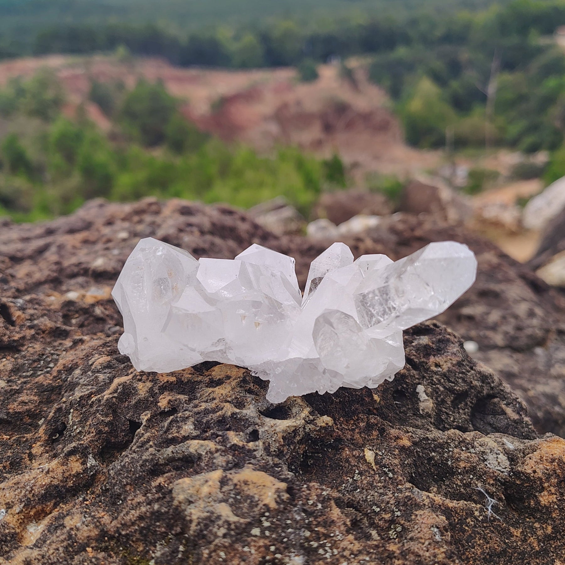 Clear Quartz Cluster Petite Multiple Point