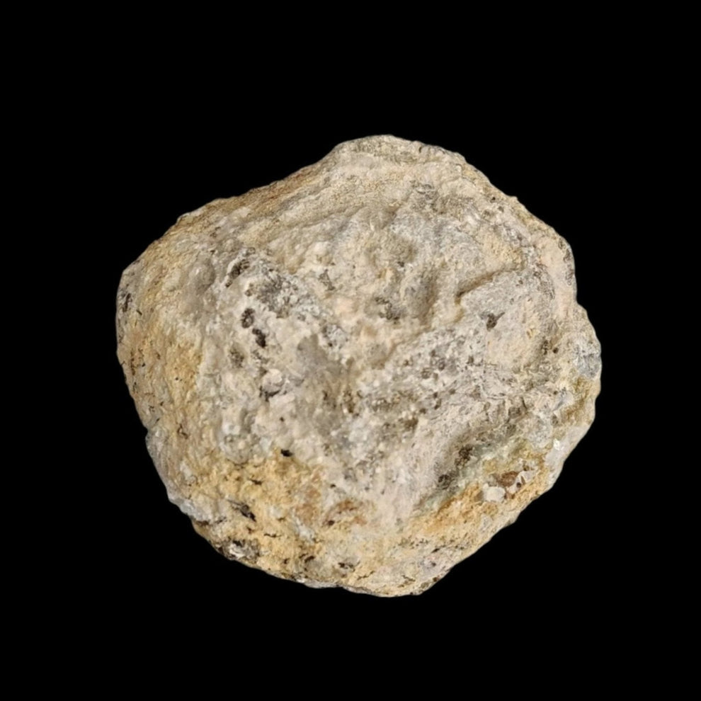 Whole Geode Uncut Rock Geode For Sale